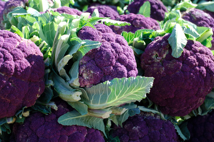 The Effect of Purple Foods on the Brain