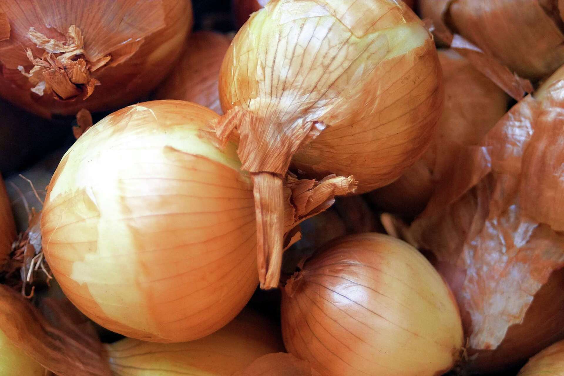 How to Plant Sweet Spanish Onions