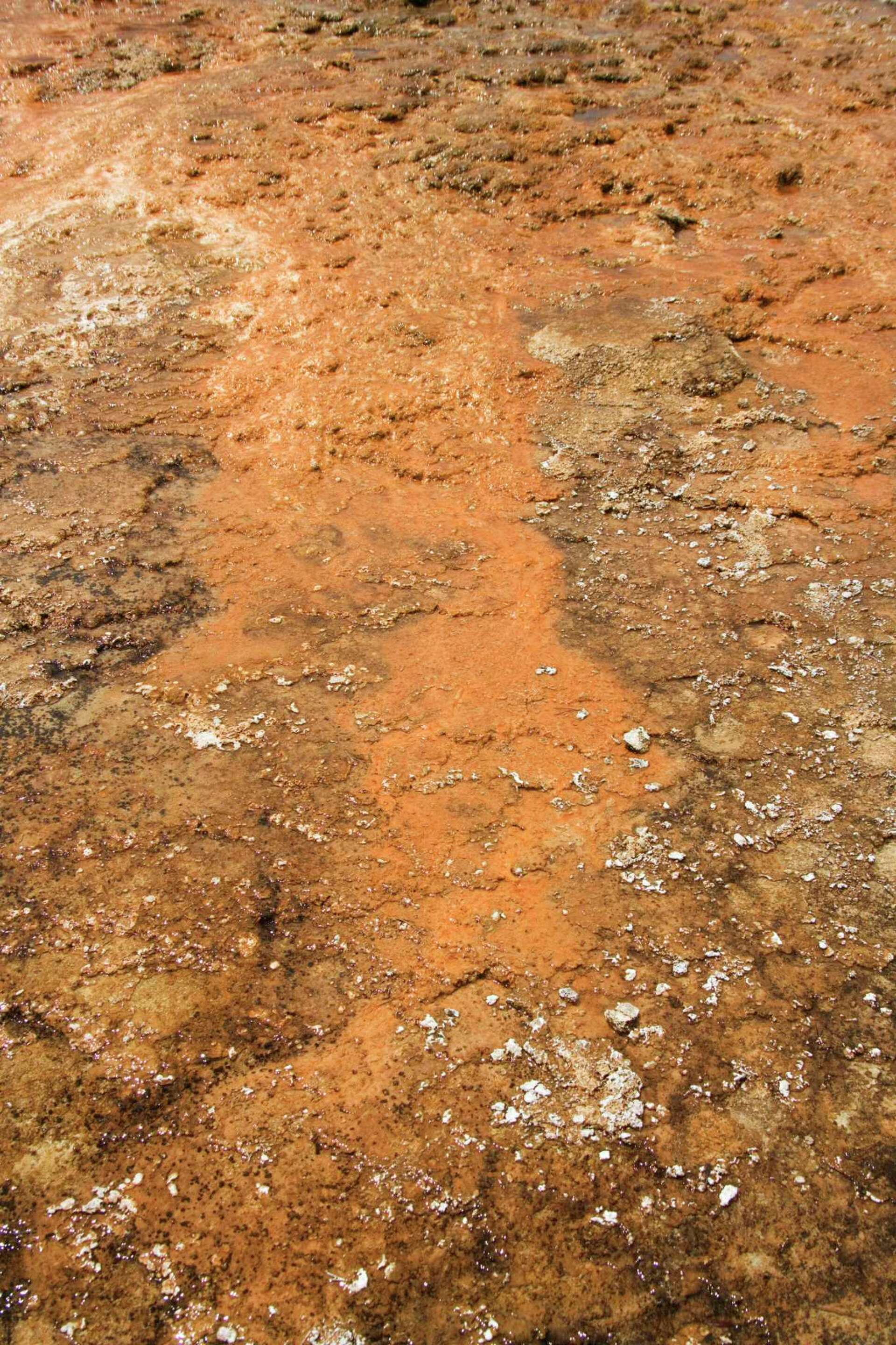 Why Is My Garden Soil Turning Bright Orange?