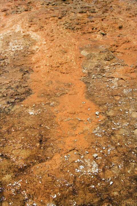 Why Is My Garden Soil Turning Bright Orange?