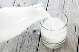 Serving Sizes for Milk & Milk Products