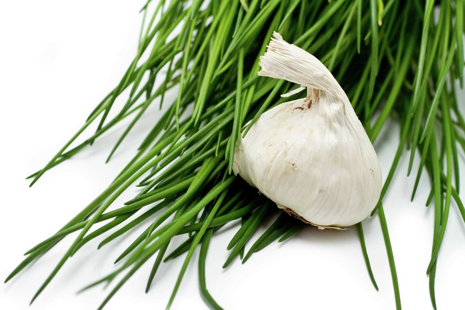 How to Freeze Garlic Scapes