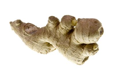 Ginger Root and the Immune System