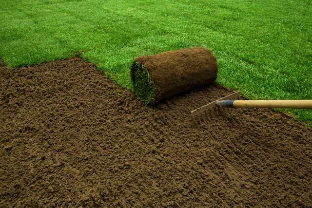What to Cover New Grass Seed With: Options for a Healthy Lawn