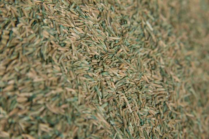 How to Prep a Lawn for Slit Seeders