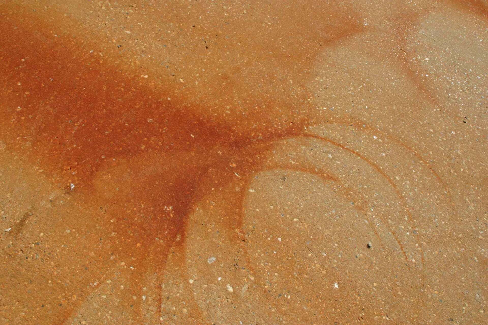 How to Fix Dish Racks That Stain Your Dishes