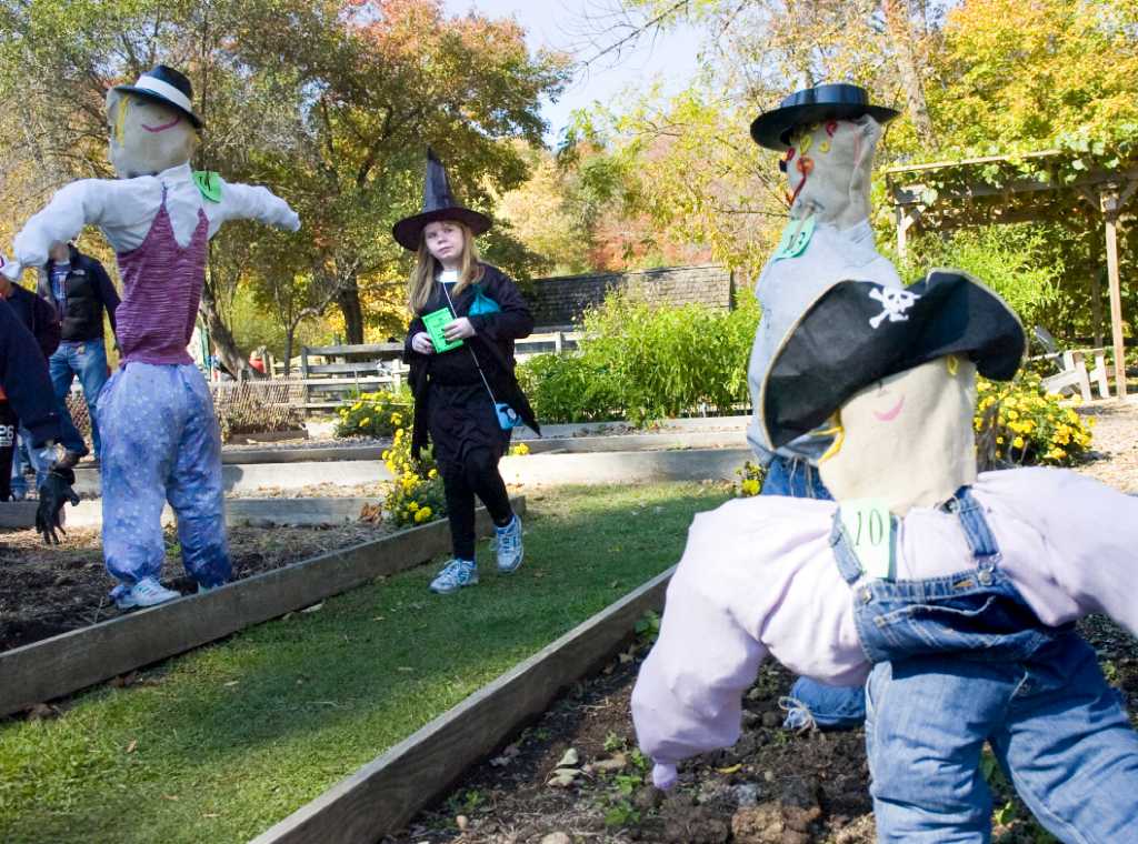 Thousands show fall spirit at festival