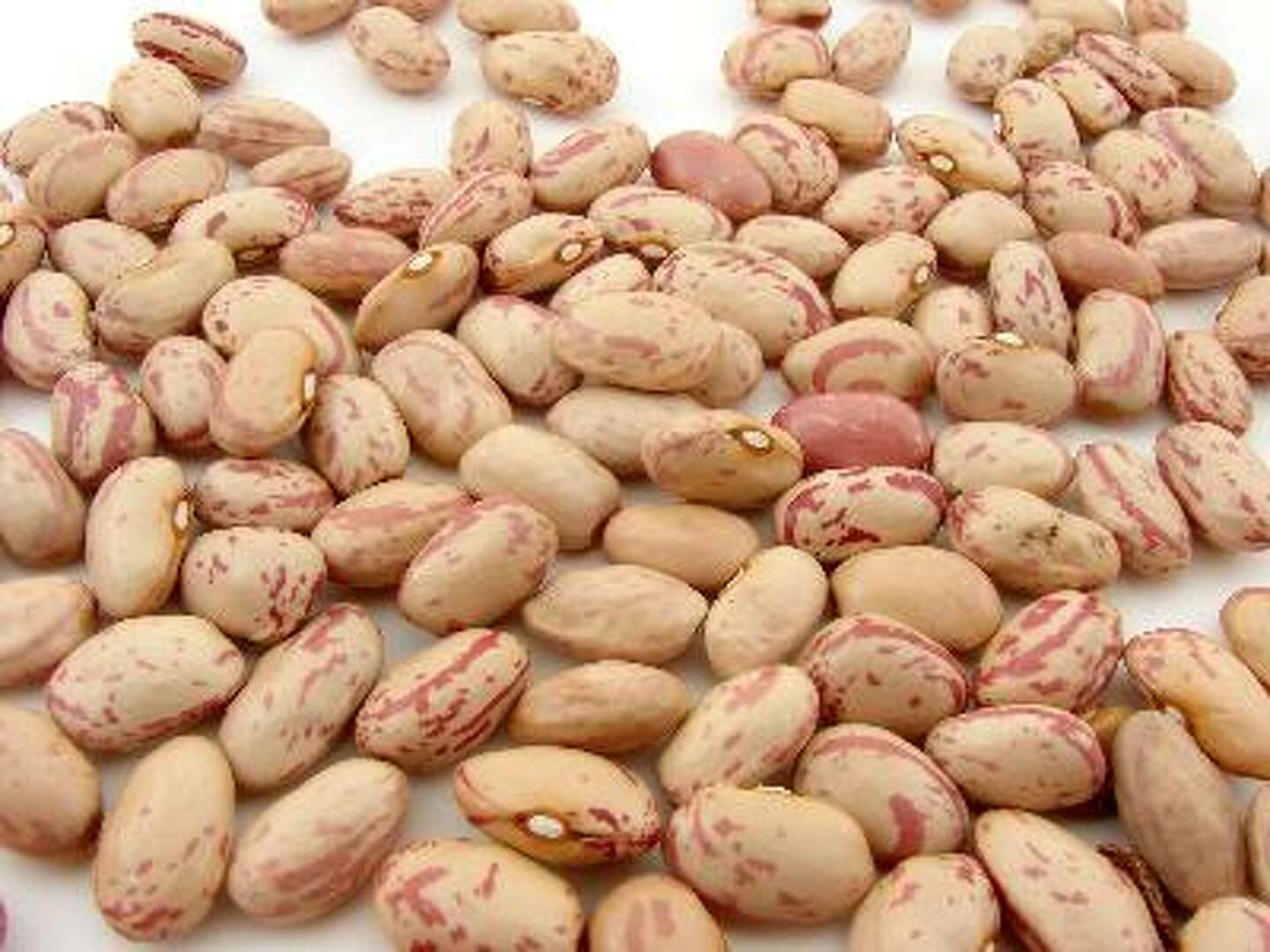 What Happens to an Undigested Fiber in the Colon?