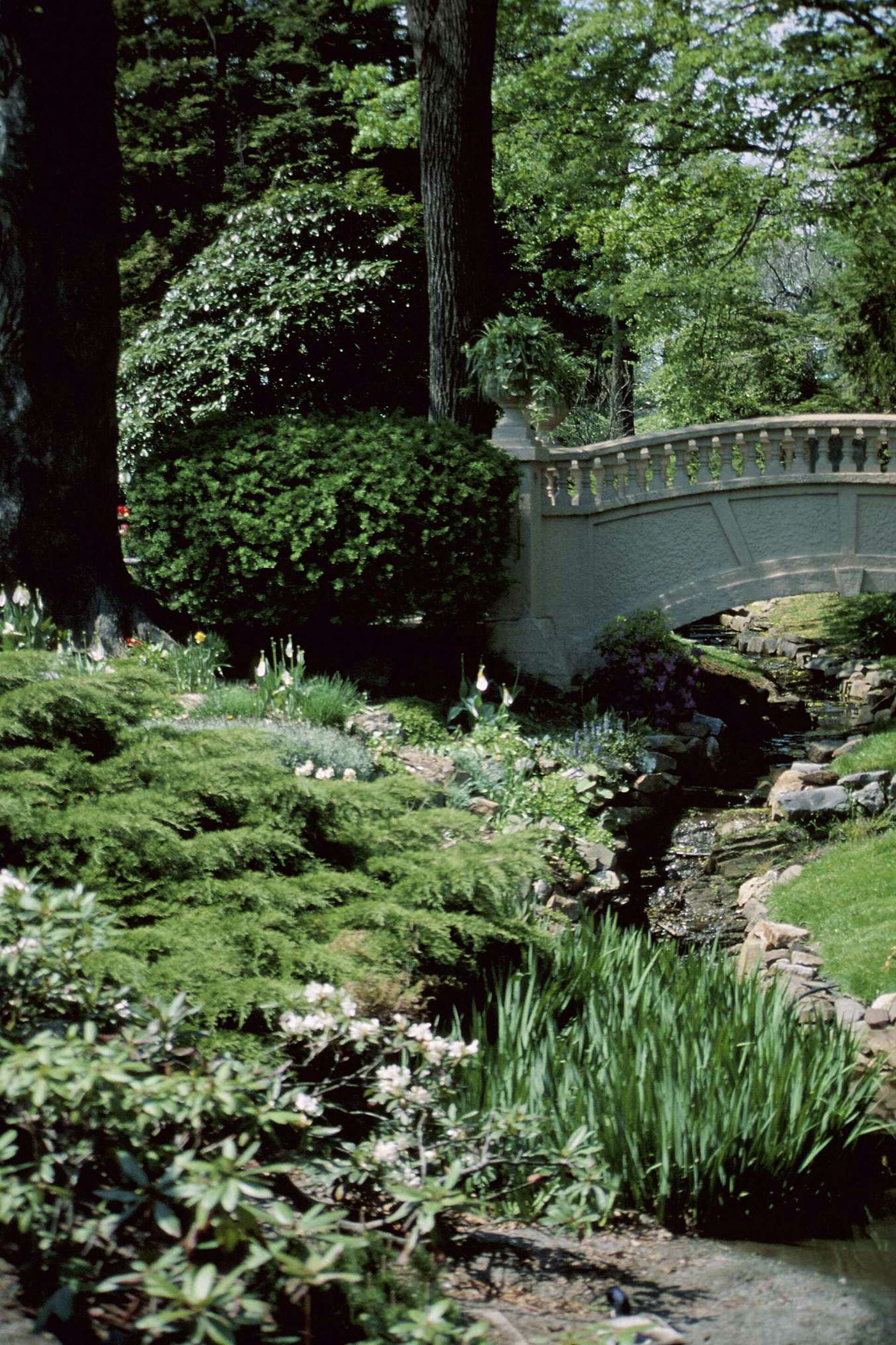 How to Create a Backyard Gully