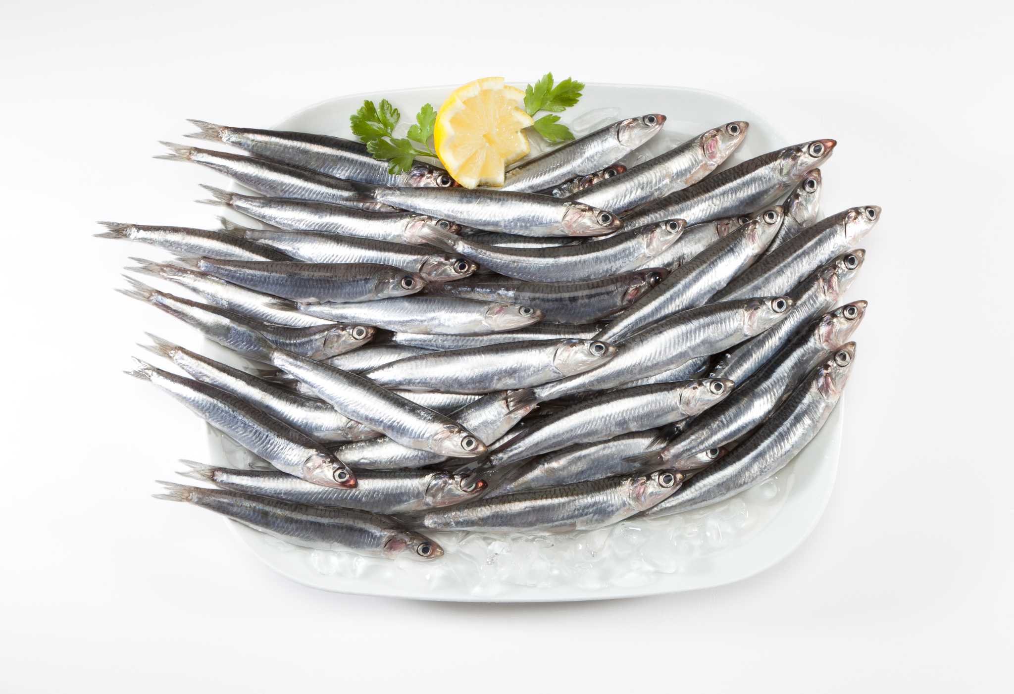 What Are the Health Benefits of Anchovies