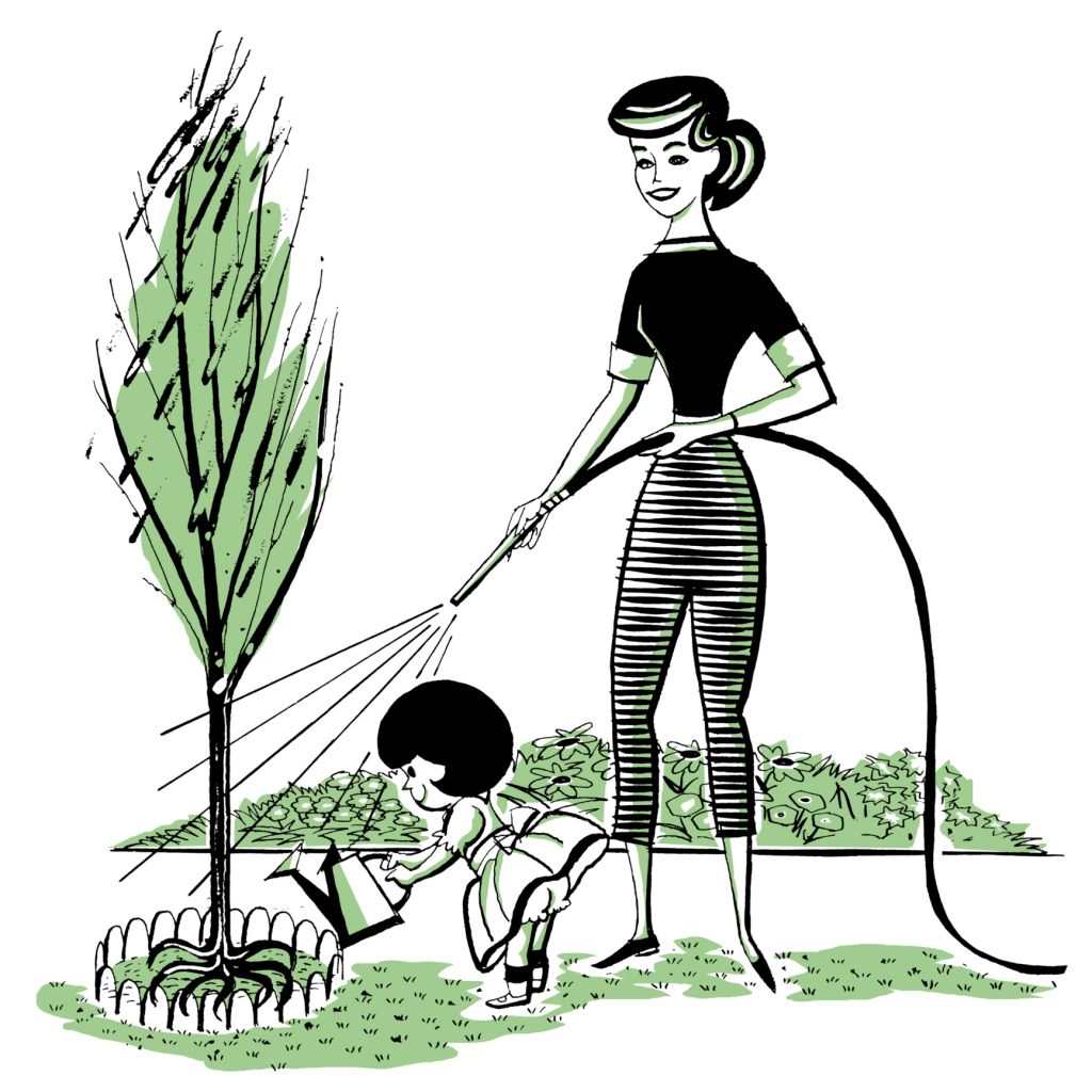 How to Create a Drip System for Watering Trees