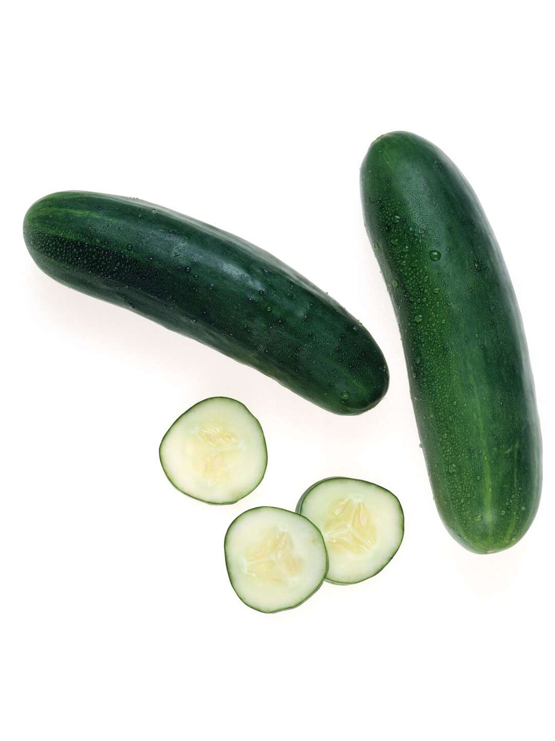 A Cucumber Root's Structure