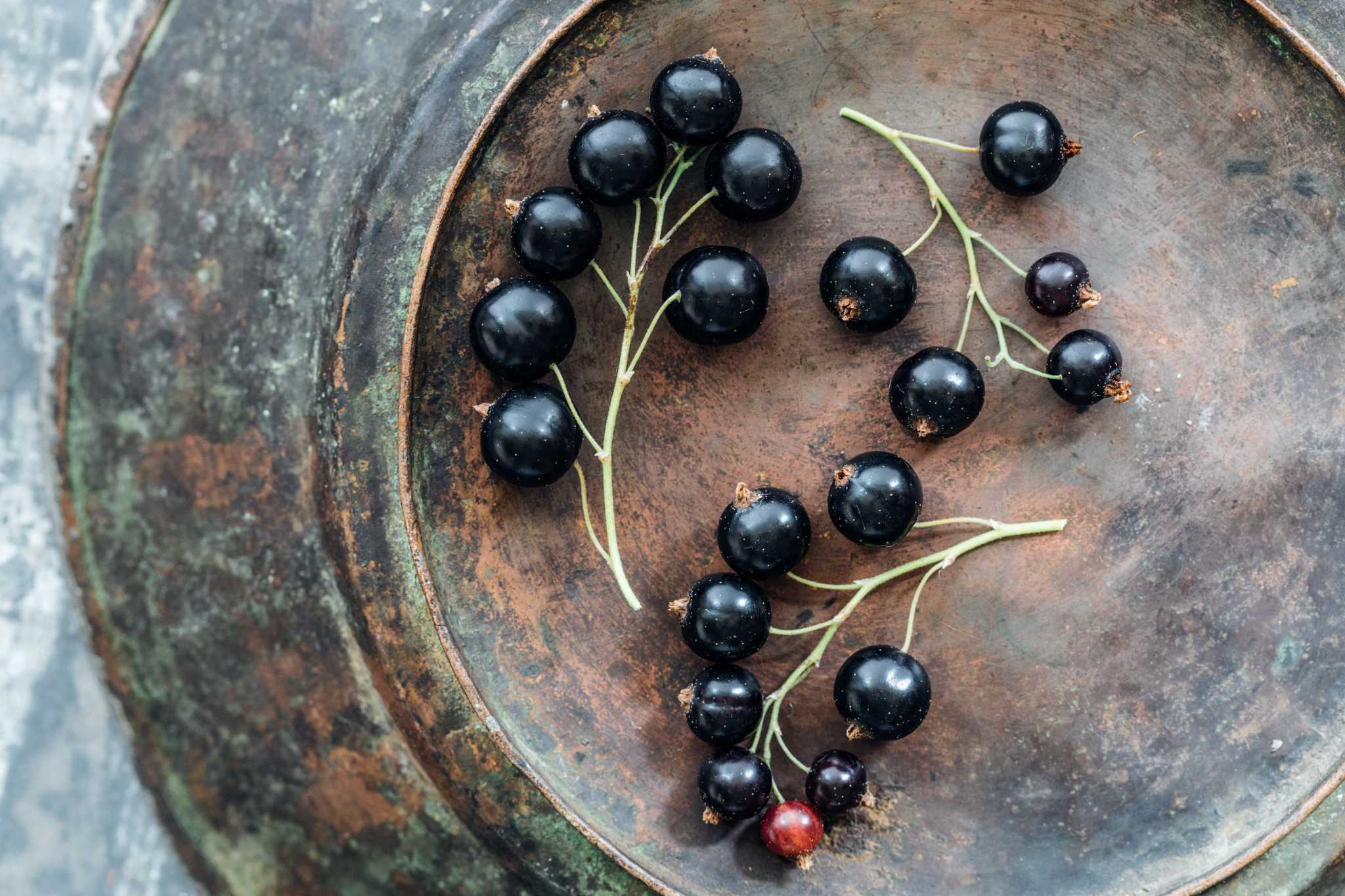 What Are the Health Benefits of Dried Black Currants?