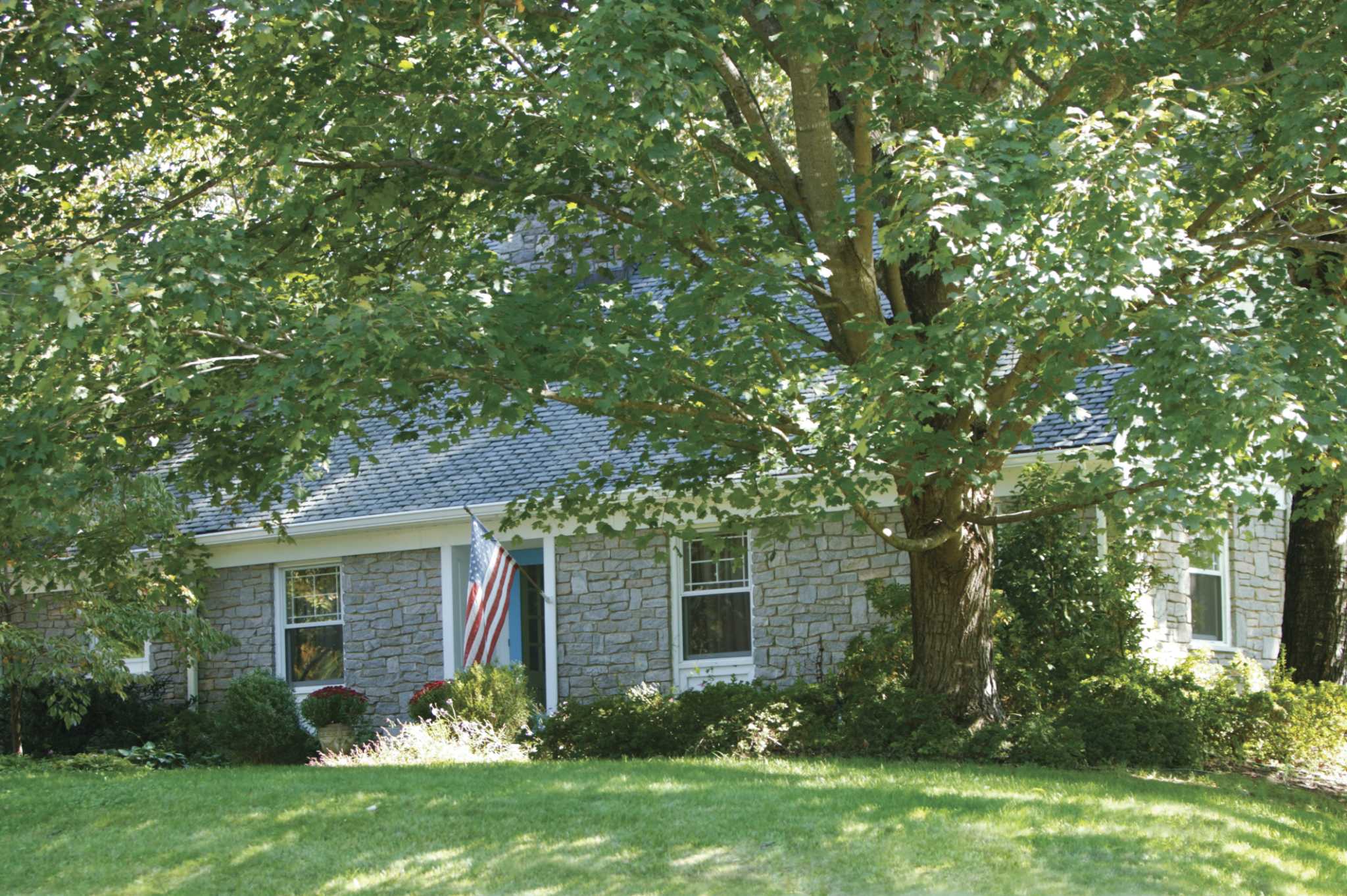 Potential Shading Due to Trees