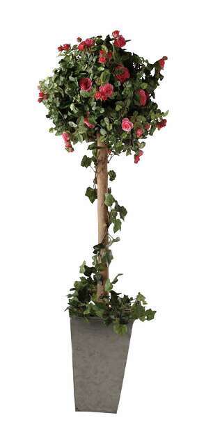 How to Make a Rose Bush Into a Tree