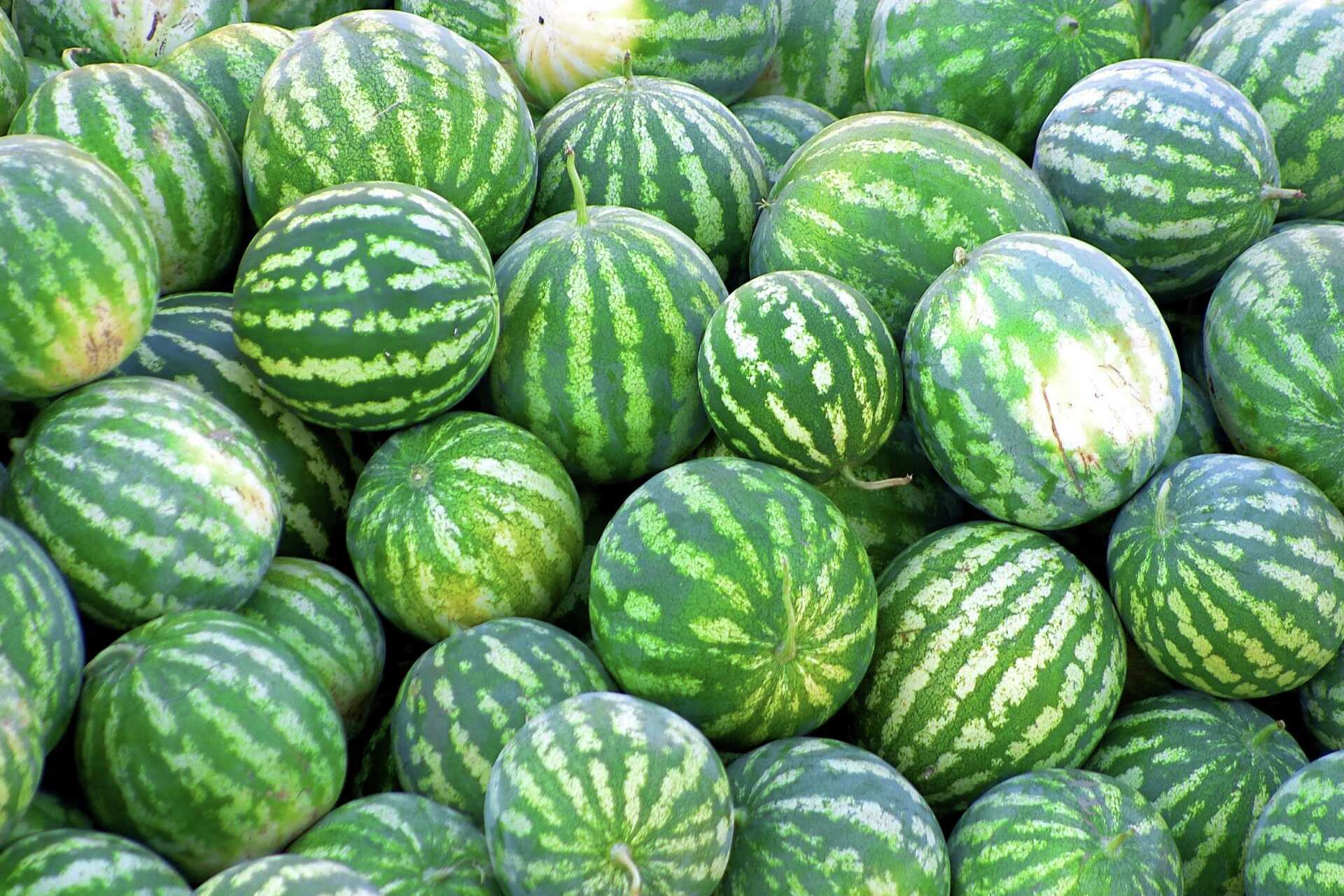 Are There Watermelons With White Flesh?