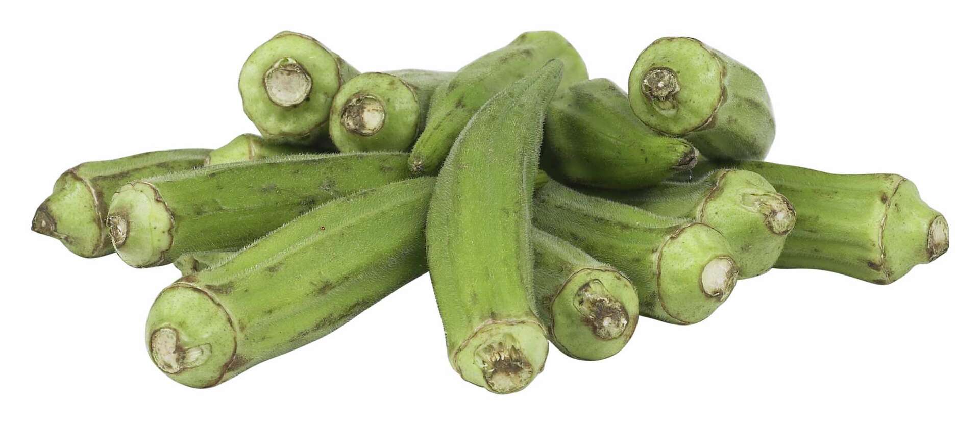 The Cross-Pollination of Okra in a Garden