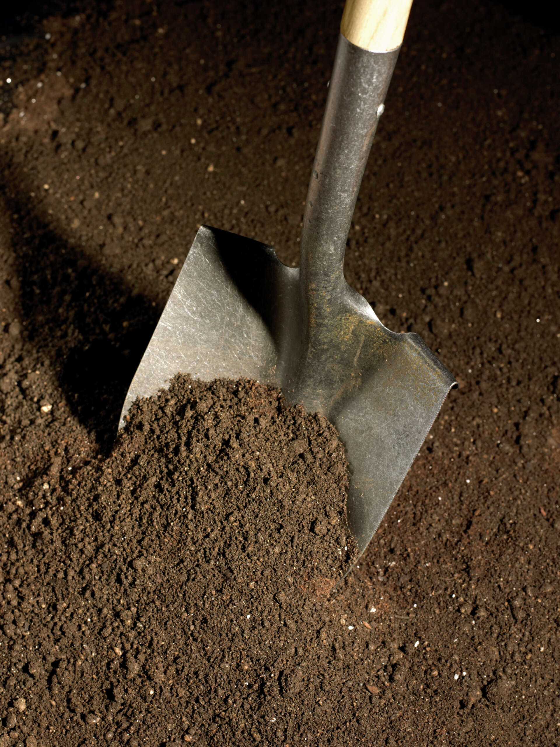How to Break Up Dirt Clods Without a Tiller