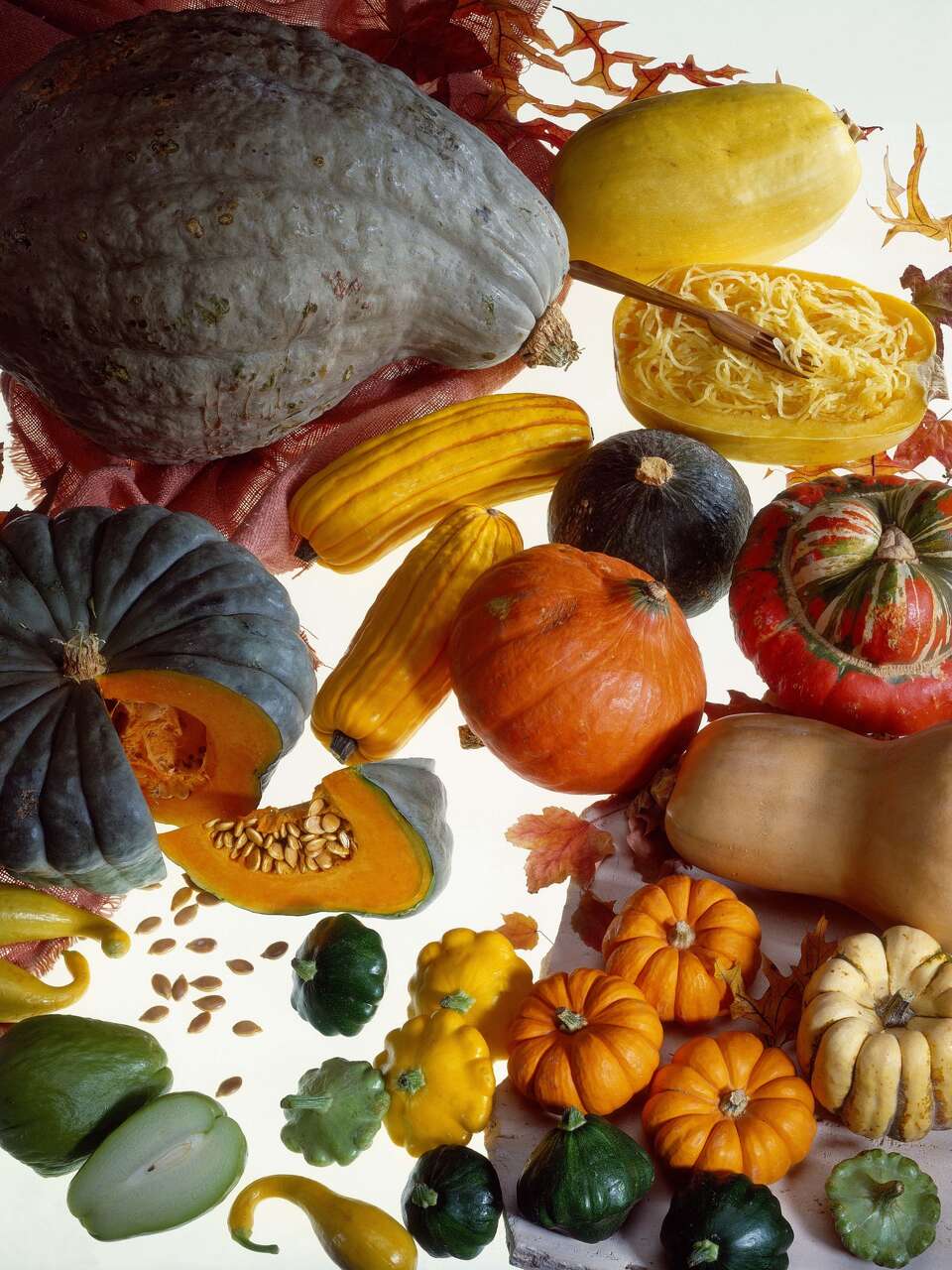 Cushaw Squash Varieties