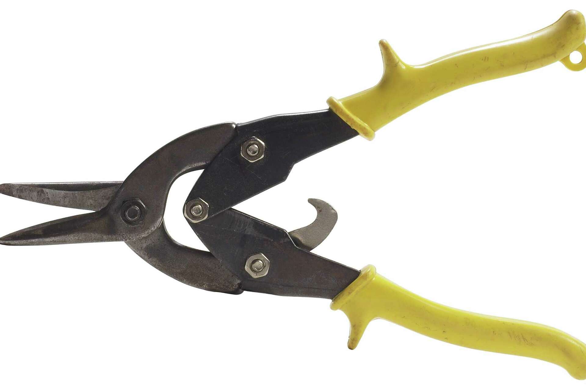 Instructions to Make a Topiary Become Bear Shaped Using a Wire Frame