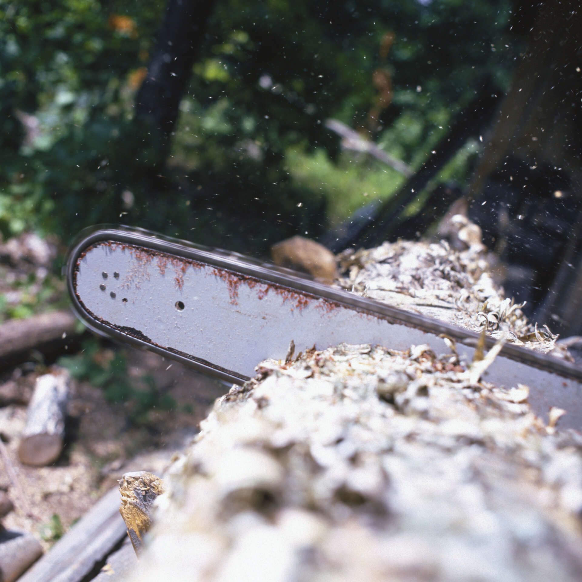 How to Cut Up a Large Fallen Tree Branch