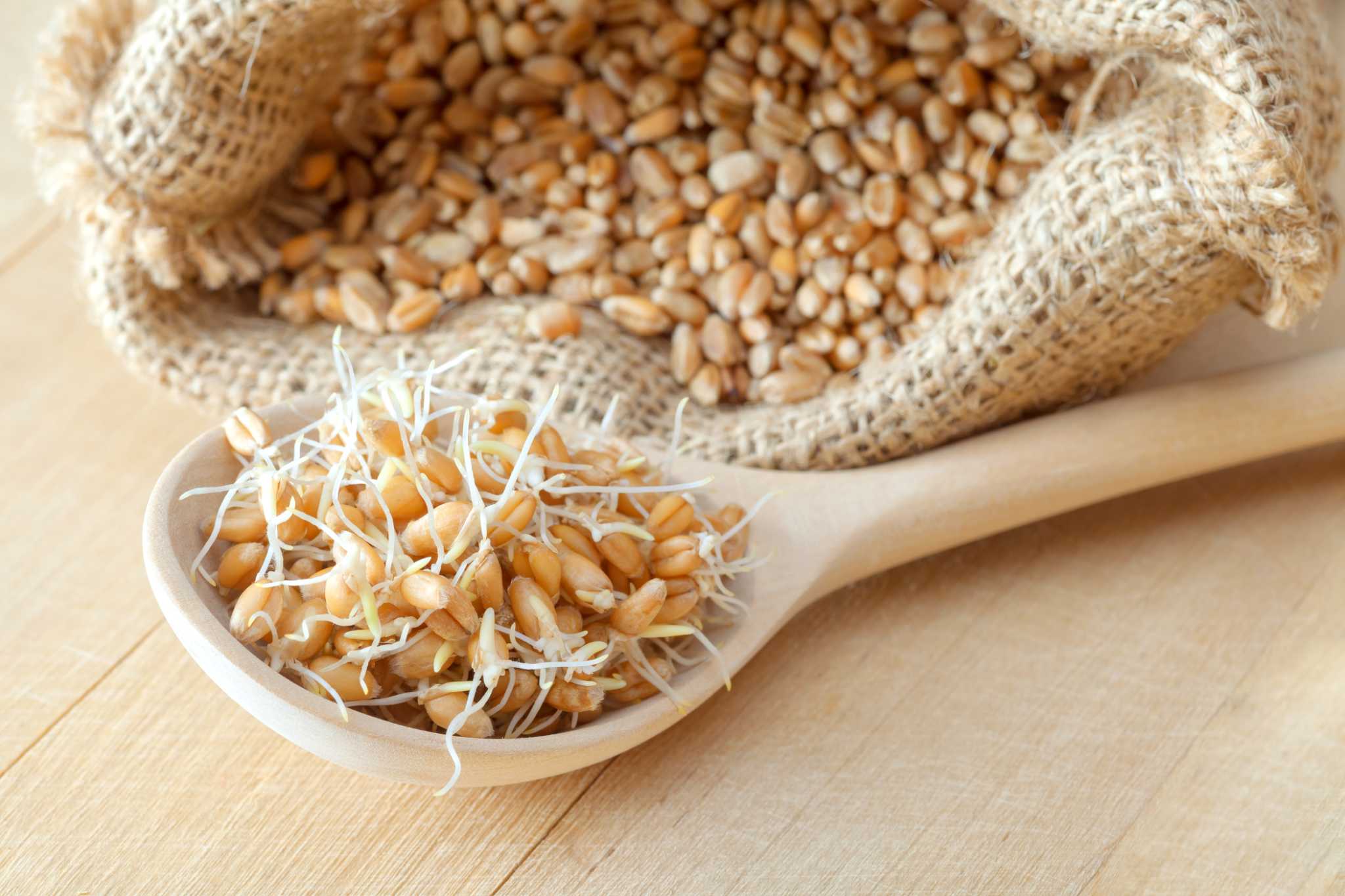 How to Keep Raw Wheat Germ From Going Rancid