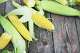 How Much Protein Is in Corn?