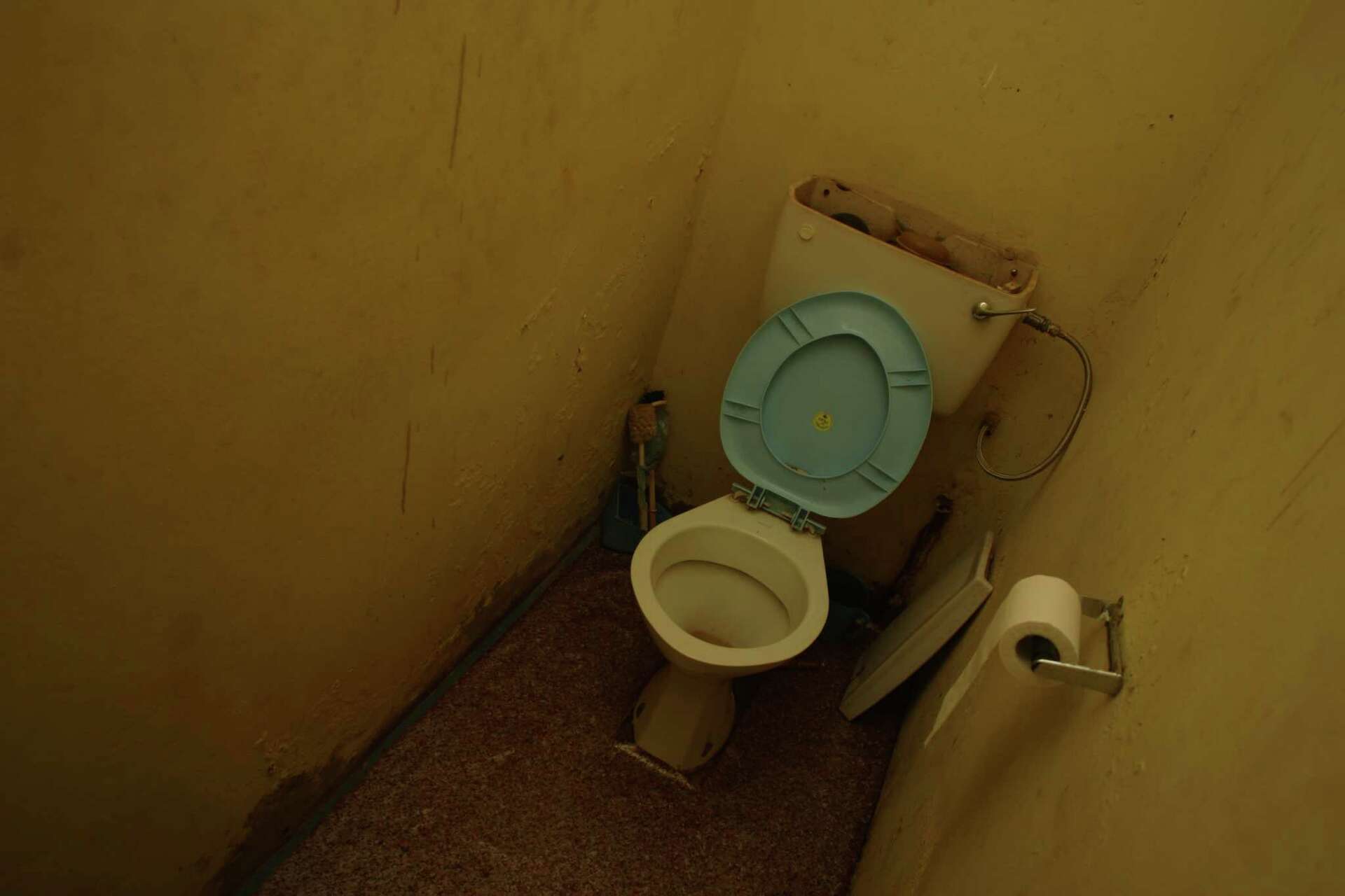 How to Repair the Sub-Floor Under a Leaky Toilet