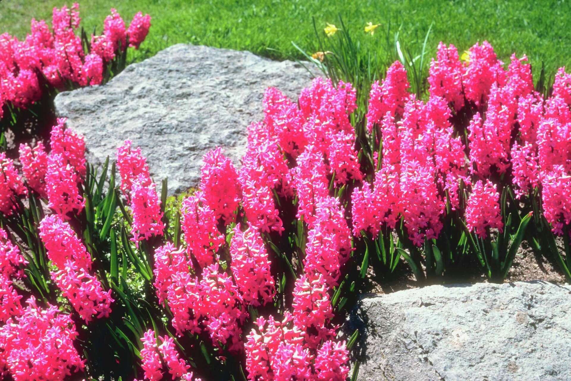 How to Remove Rust Stains From Landscaping Rocks