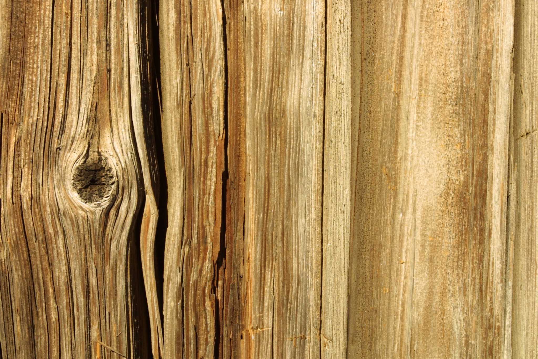 How to Cut Wood With Grain