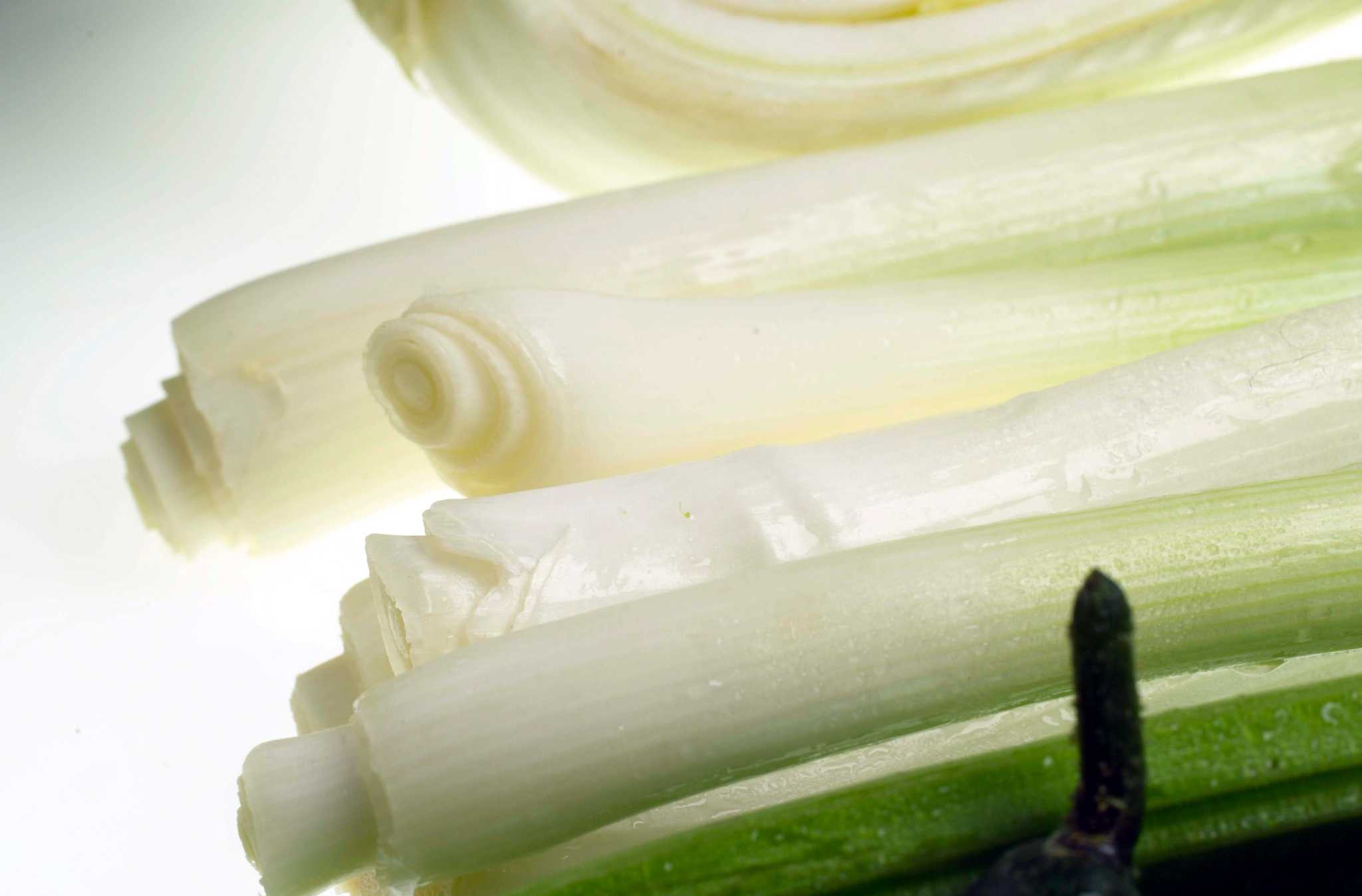 Daikon Radish Varieties