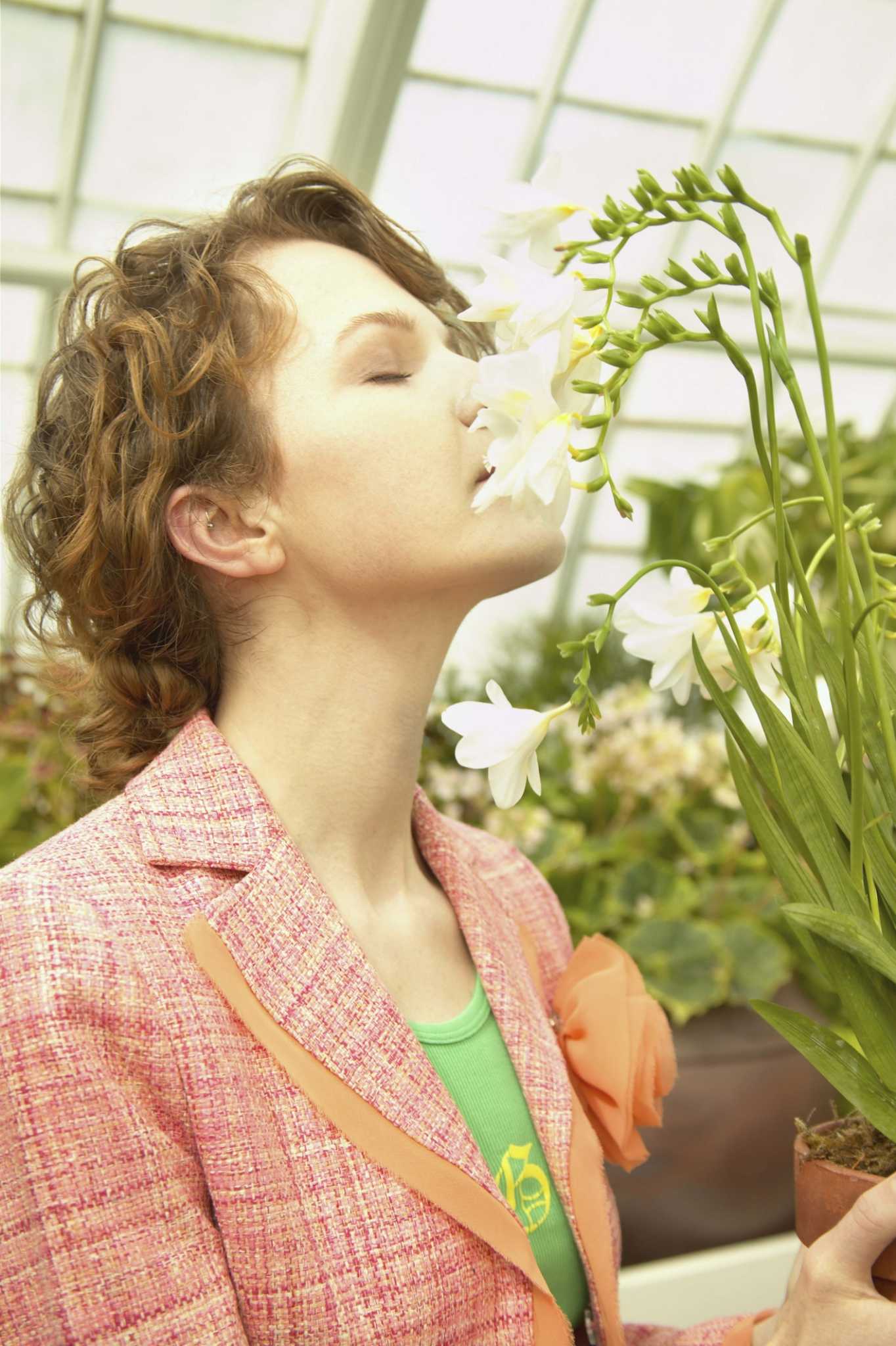 How to Deadhead Freesia