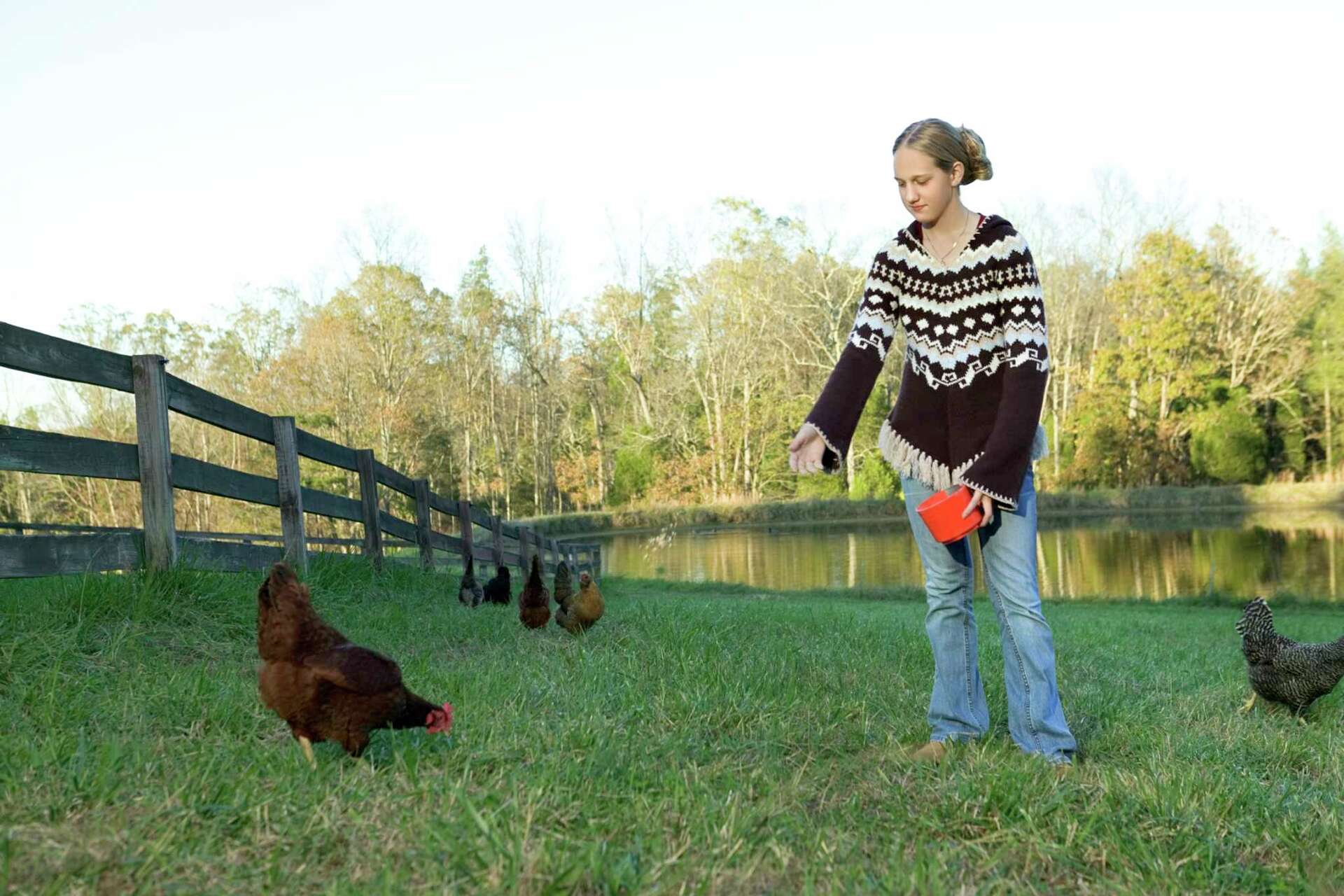 How to Decompose Manure Faster