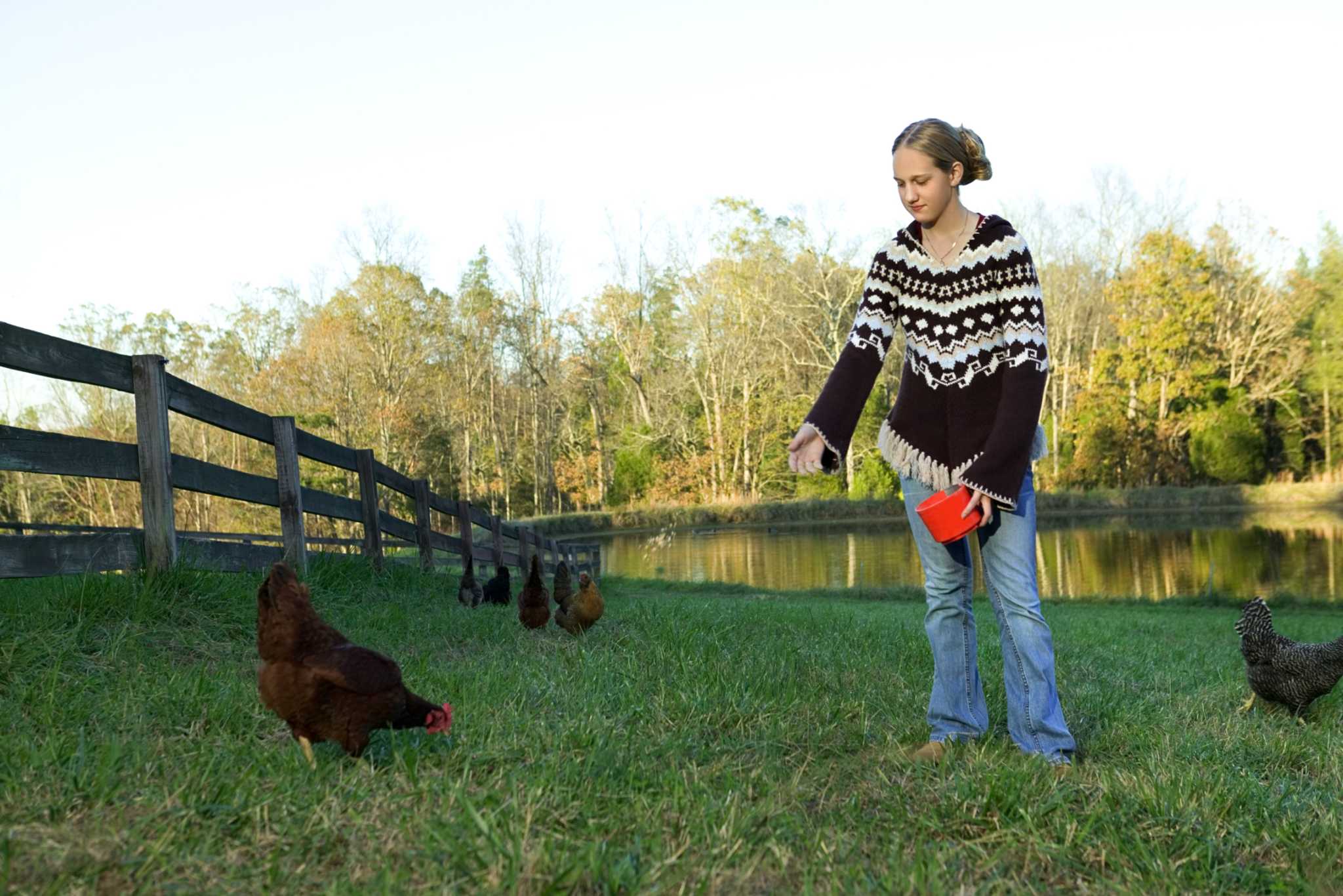 How to Decompose Manure Faster