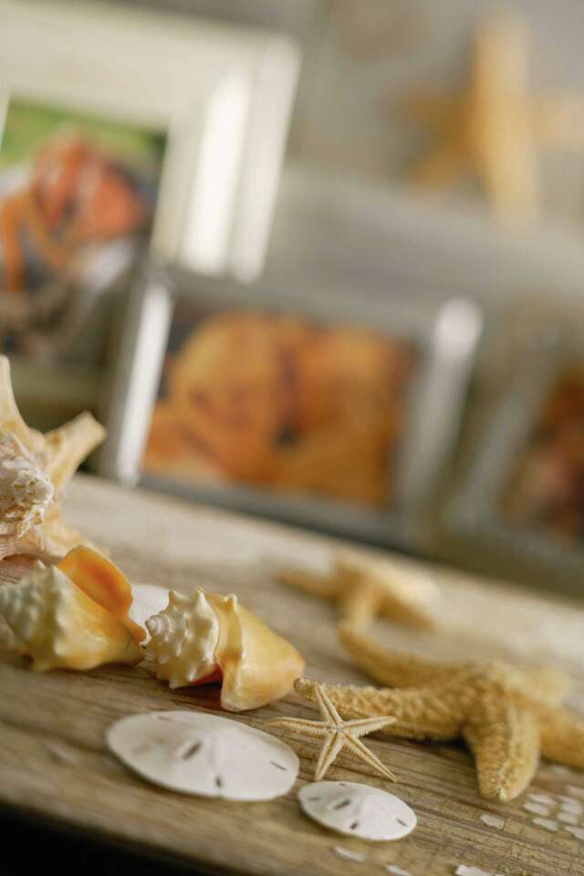 How to Decorate a Fishing Net With Starfish and Shells