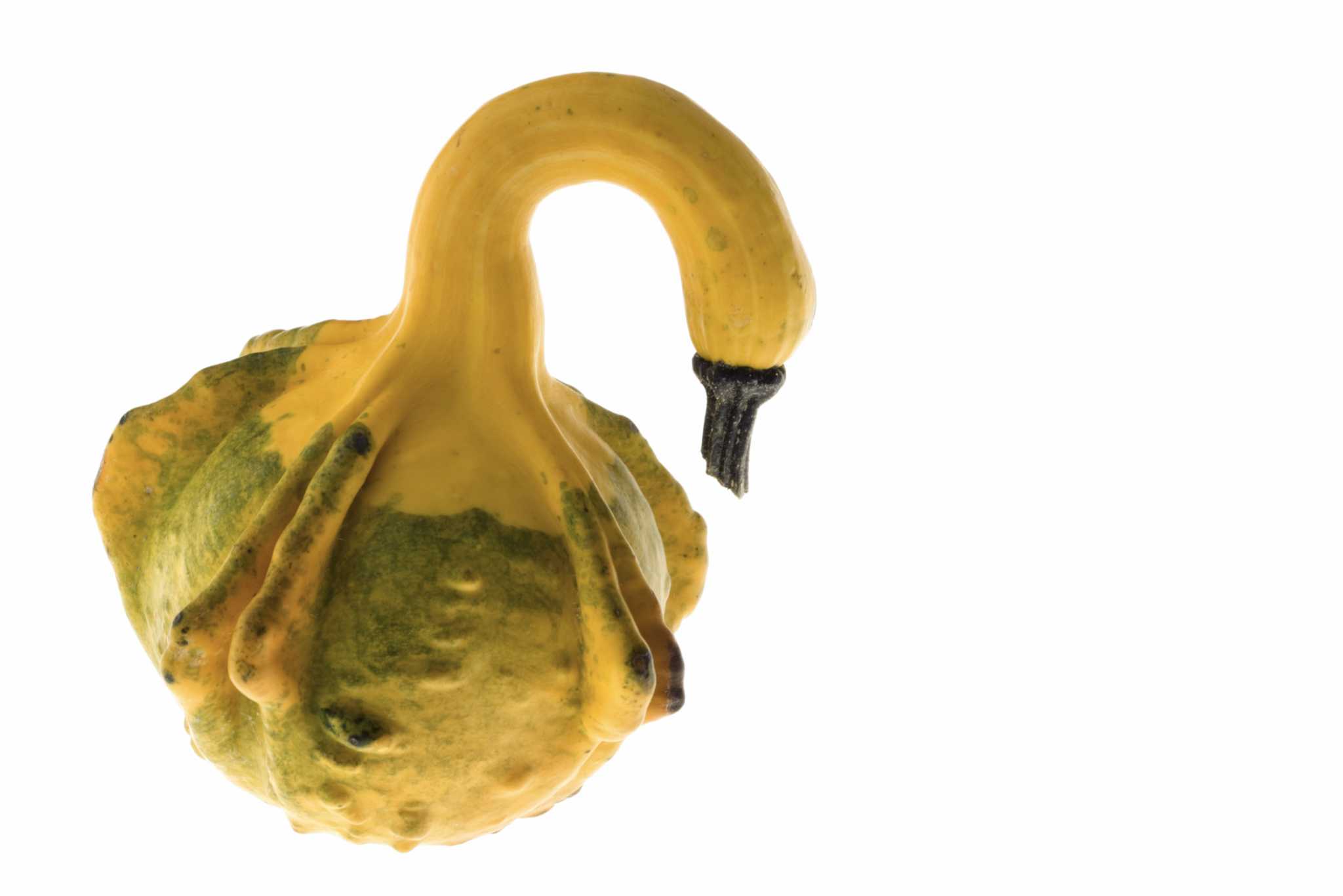 How to Decorate Goose Gourds