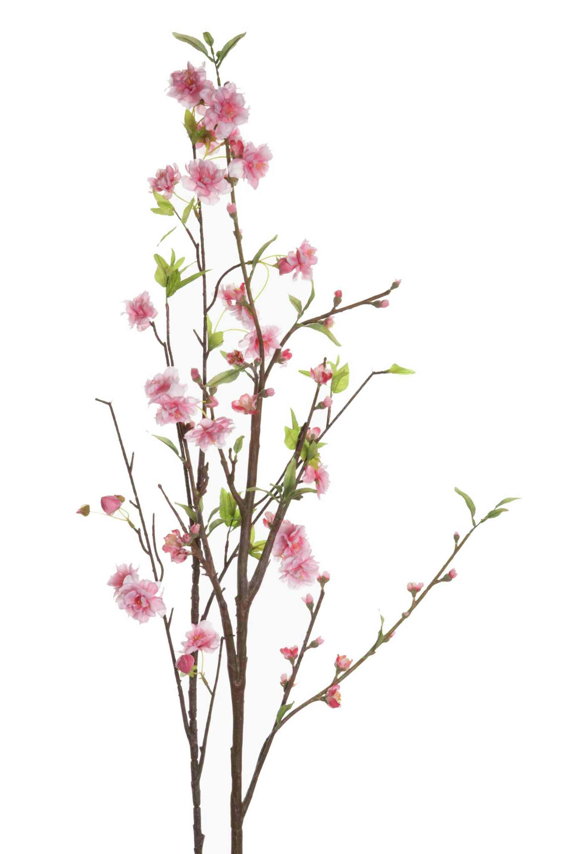 How to Decorate With Live Tree Branches on Walls