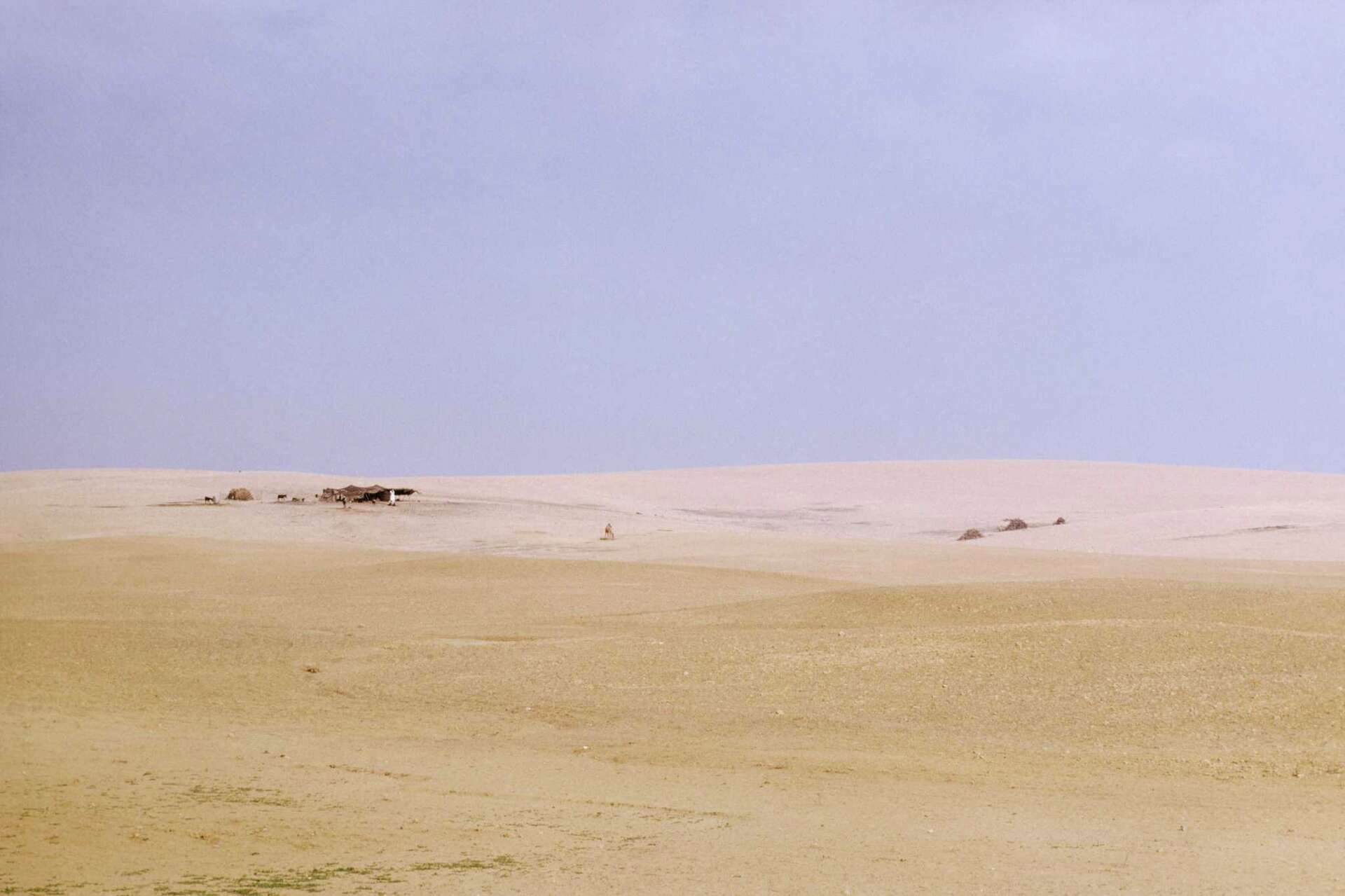 How to Decorate a Room Like Indiana Jones