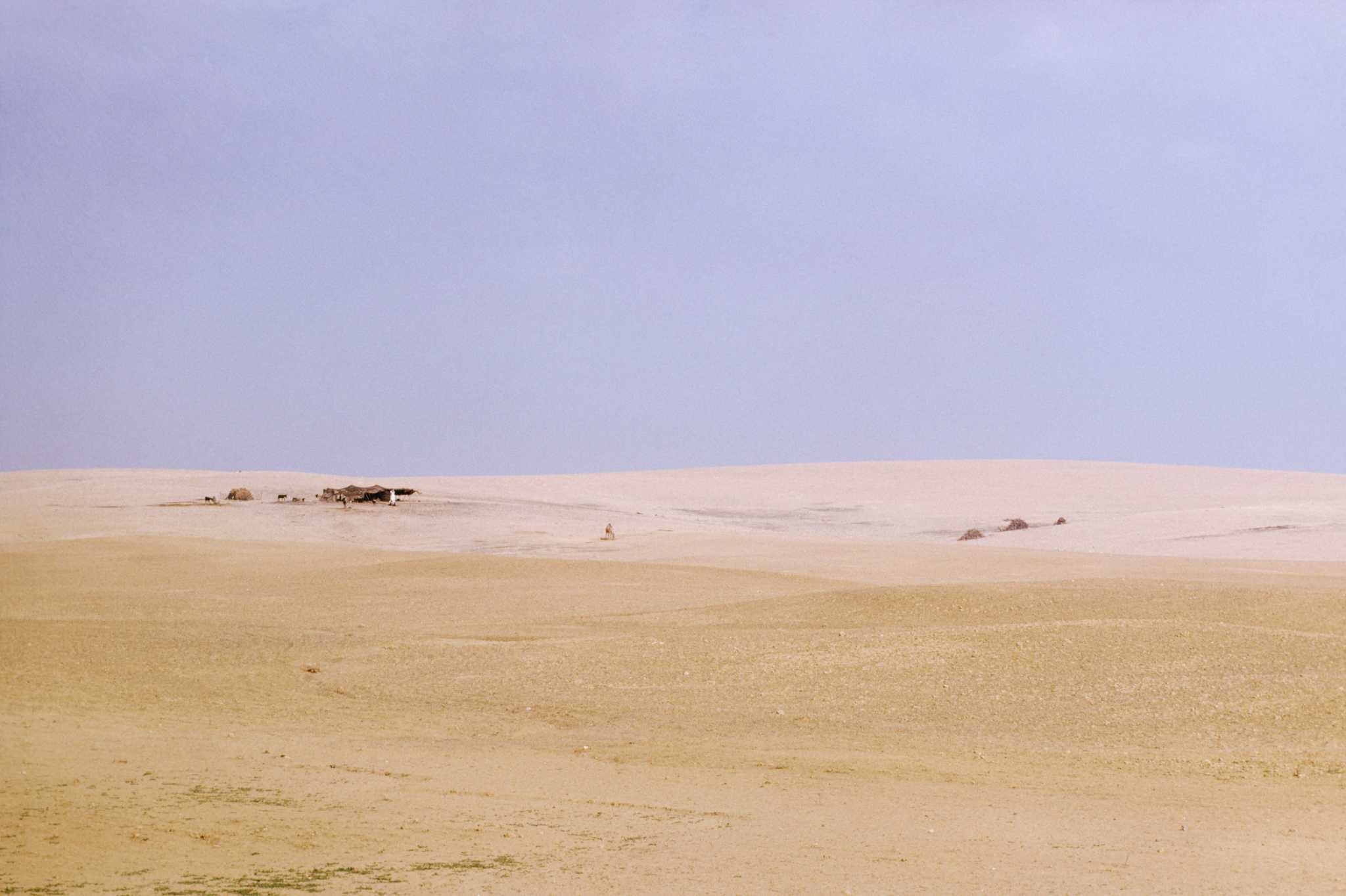 How to Decorate a Room Like Indiana Jones