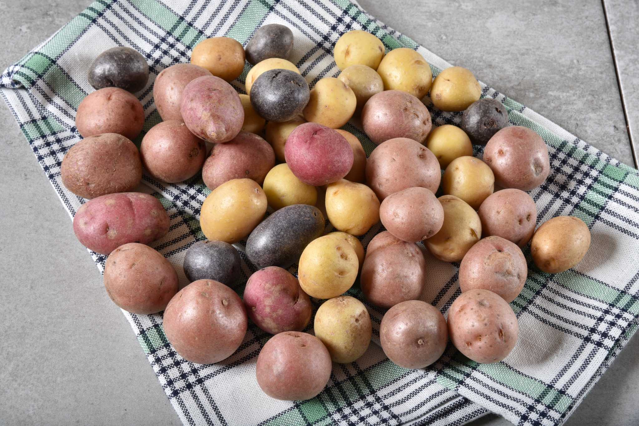 Number of Carbohydrates in One Medium Red Potato