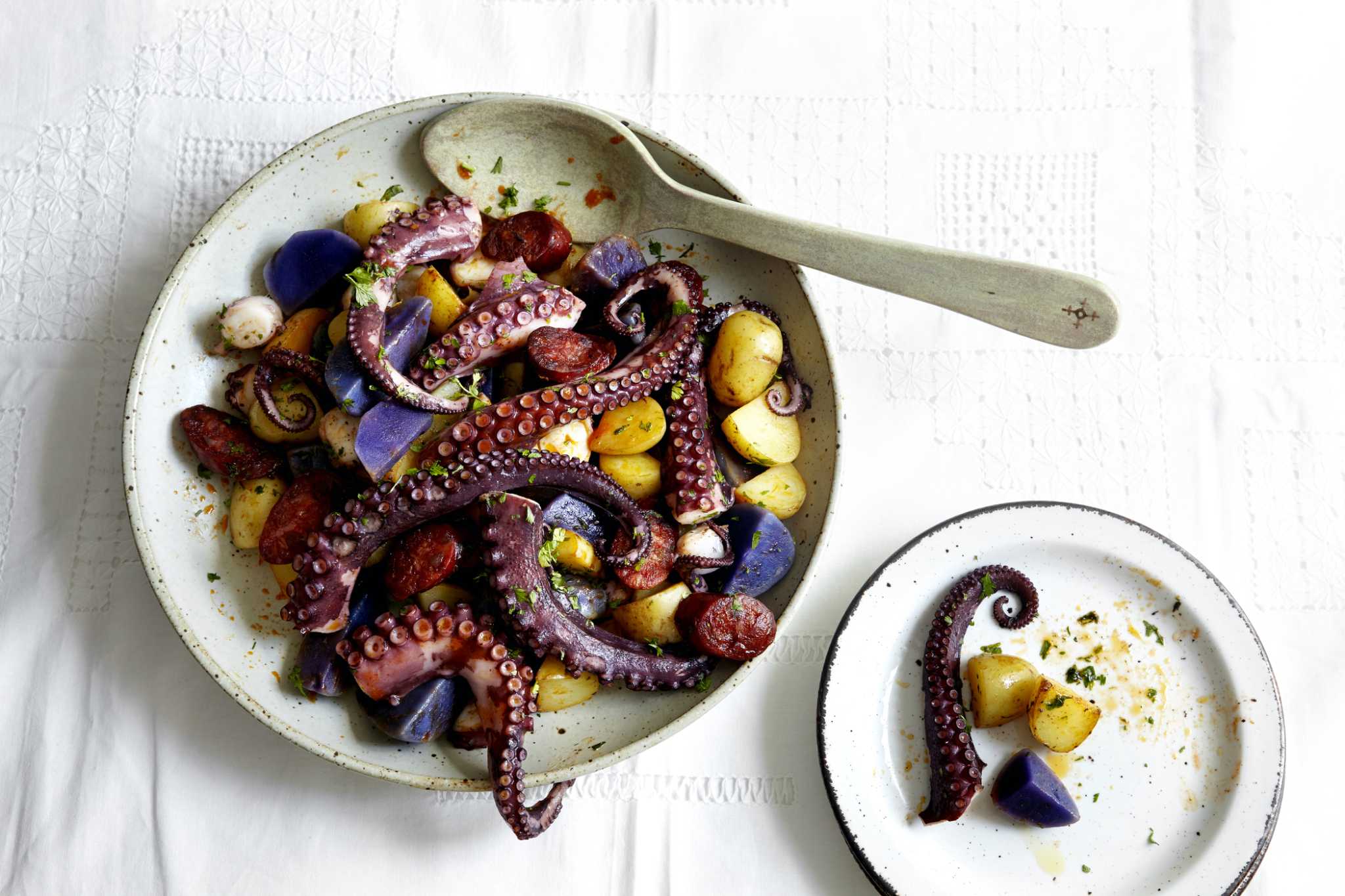 The Nutrients in Octopus