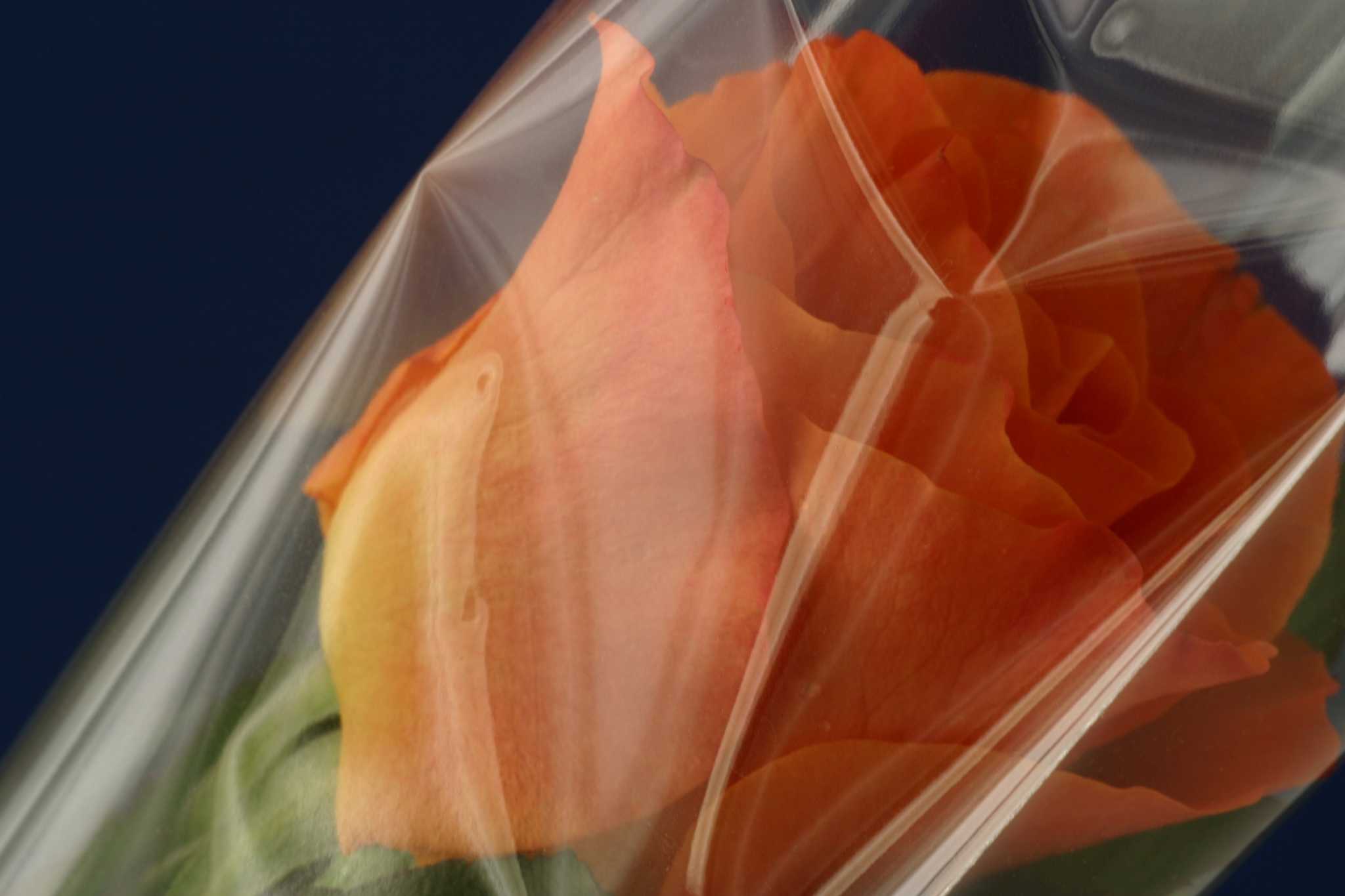 How to Decorate Walls With Cellophane