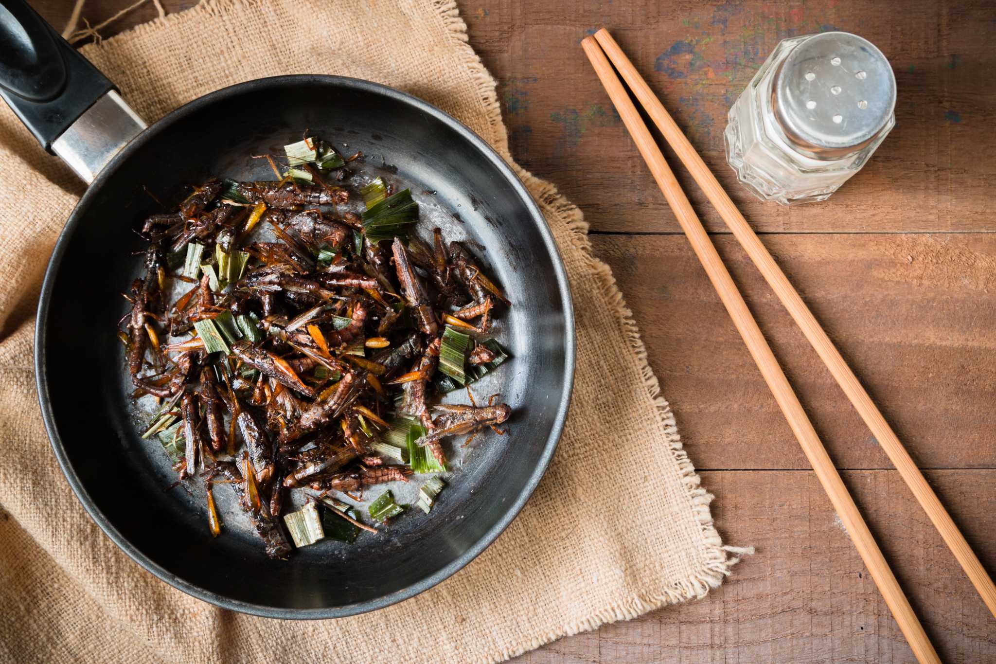 The Nutrition Values of Edible Bugs & Insects