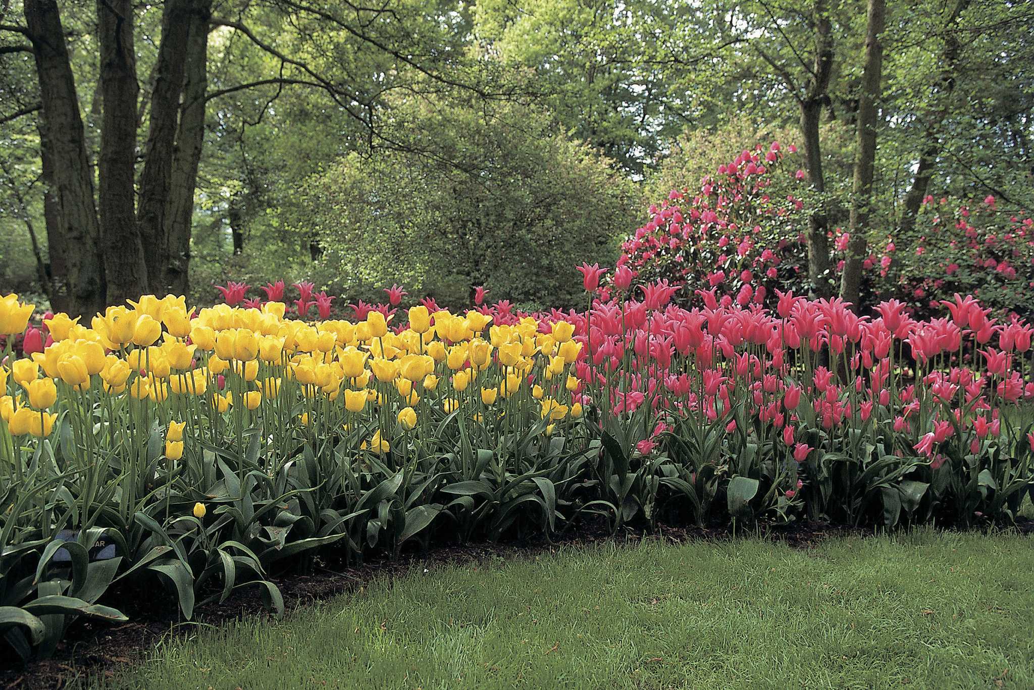 How to Get Deep Edges on Garden Beds