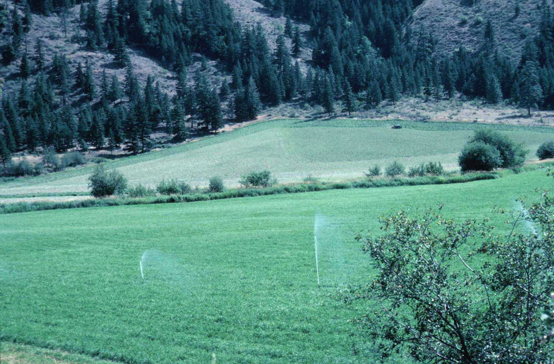 Rust & Iron Removal from a Sprinkler System