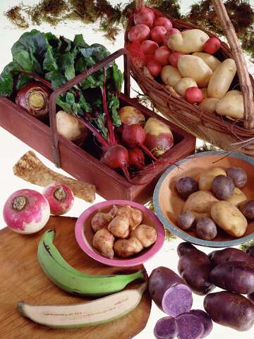 How to Grow Jerusalem Artichokes in Containers