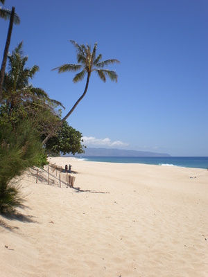 Definition of a Timeshare