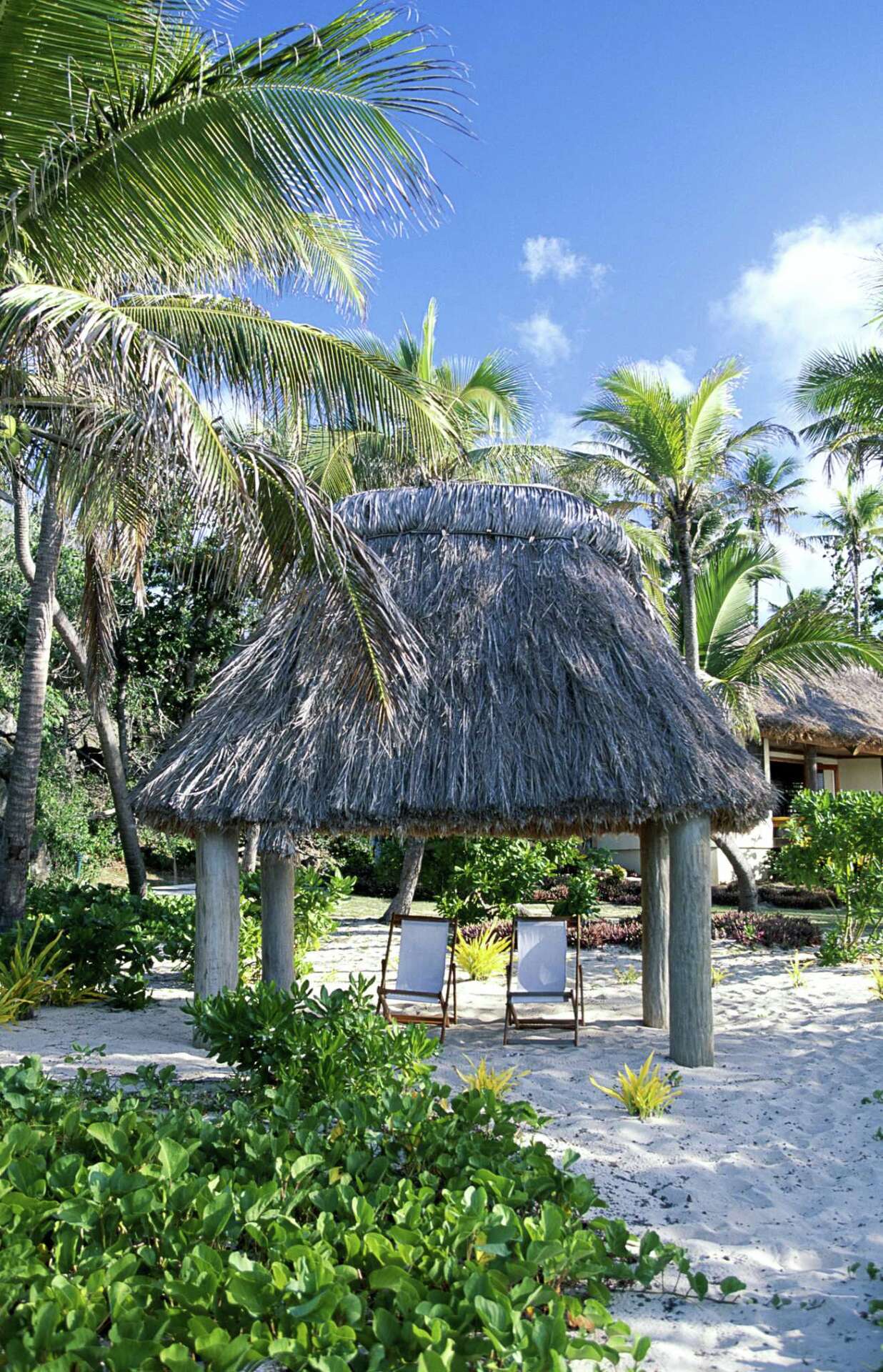 How to Build a Palapa