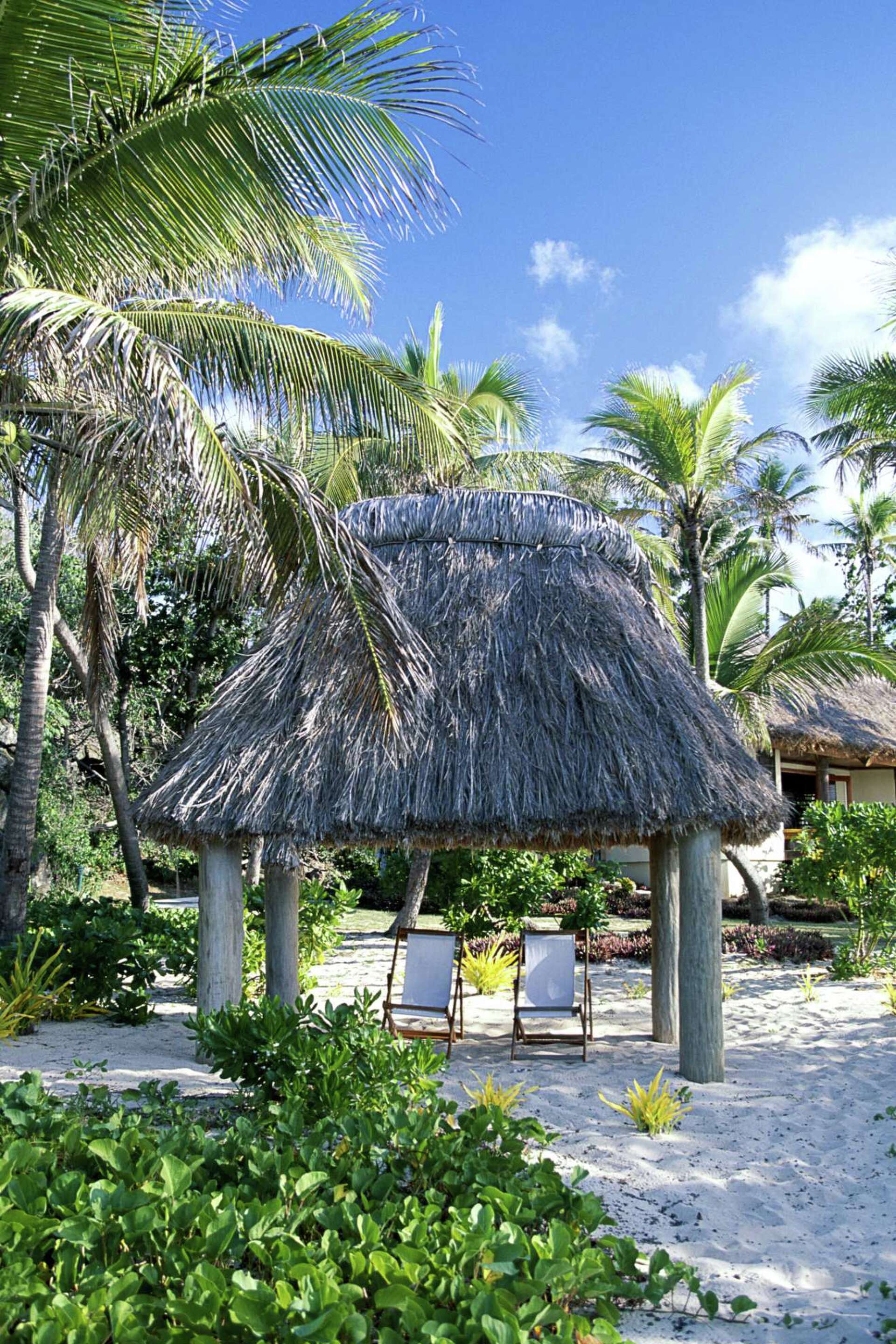 How to Build a Palapa