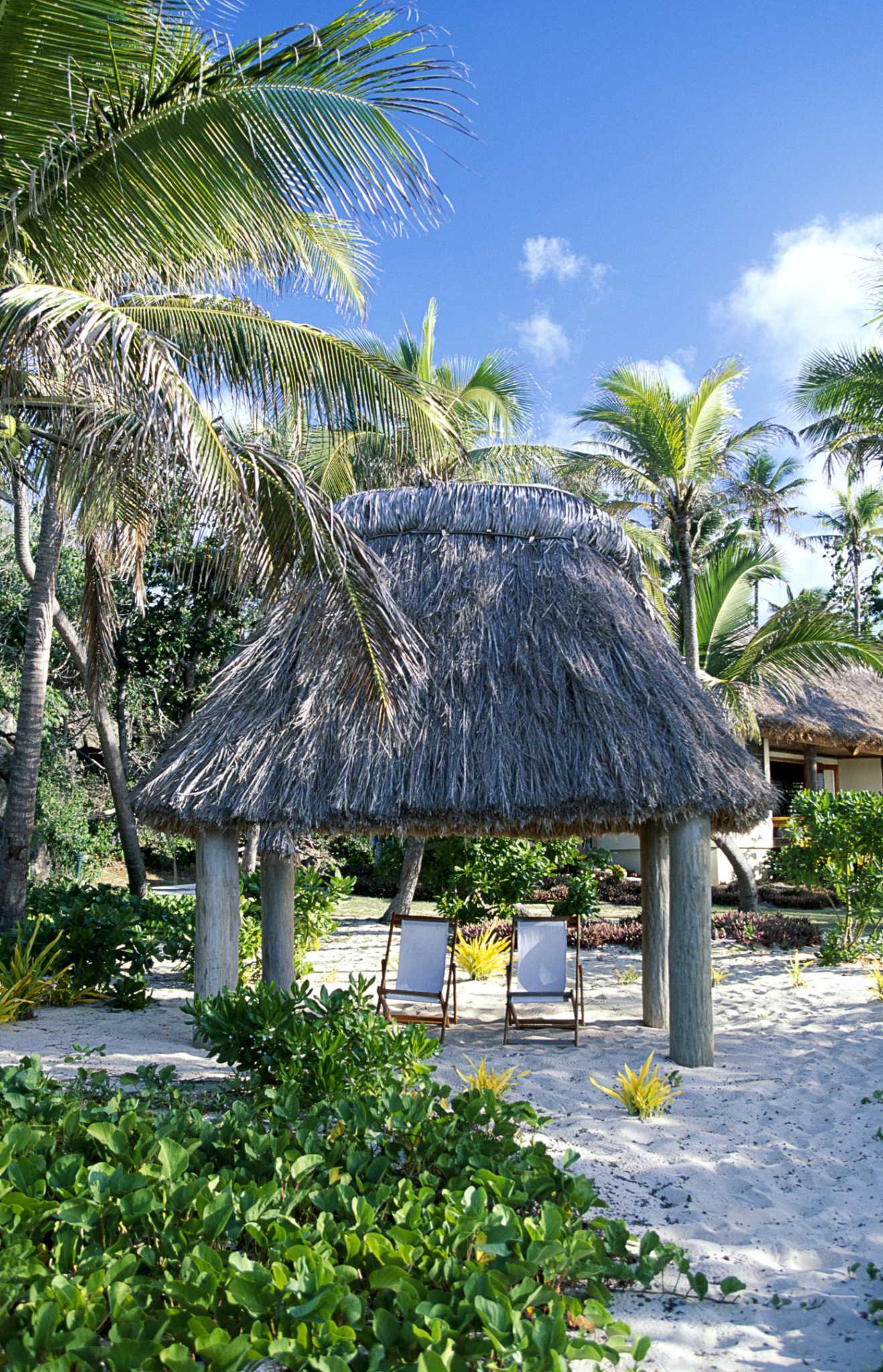 How to Build a Palapa
